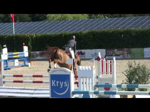 Risling Graviere (webstallions.com)