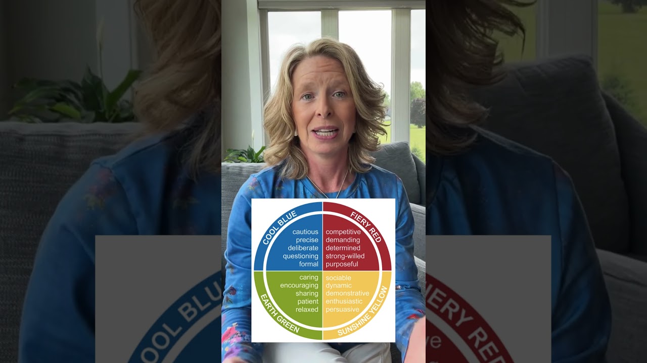 Brief Insights Discovery Profile Overview #selfawareness #powerfulperspectives #buildingresilience