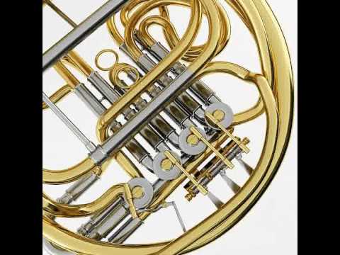 3D Model French Horn Review