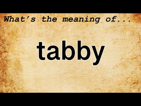 Tabby Meaning : Definition of Tabby