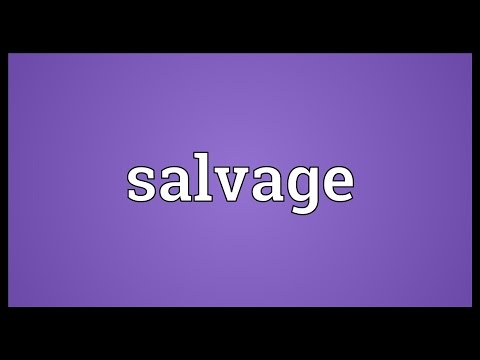 Salvage Meaning