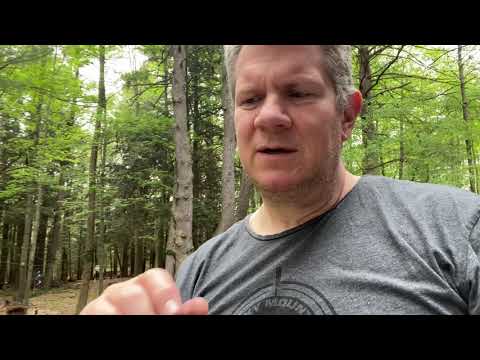 FX Dreamline Tactical Rail Installation