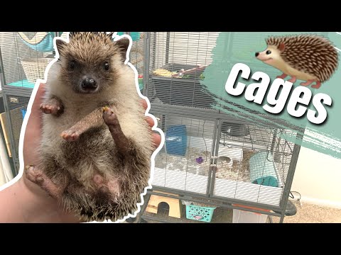 Cages for Hedgehogs