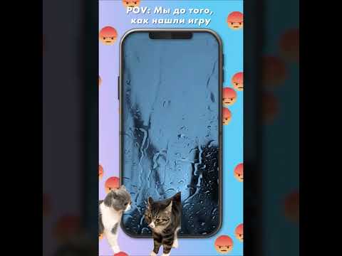 Find a cat v 24 01 31 1080x1080 ru Bumper