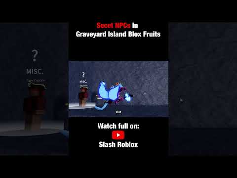 Secret NPCs in Graveyard Blox Fruits 2nd sea Roblox. Crew Captain and rip_indra