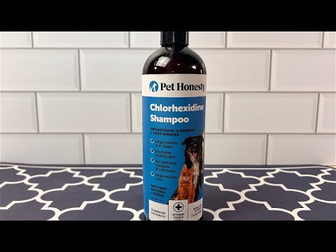 Pet Honesty Chlorhexidine Cat and Dog Anti-itch Shampoo