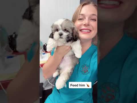 How to get a Poop sample! #puppytips