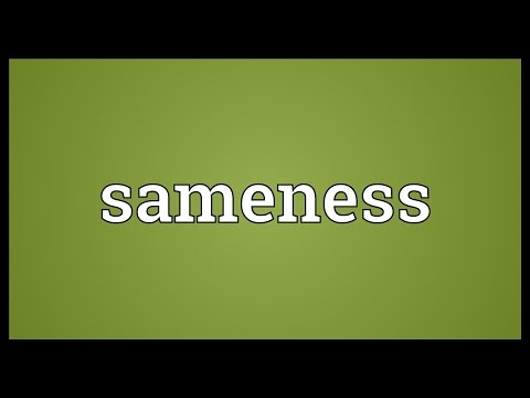 Sameness Meaning