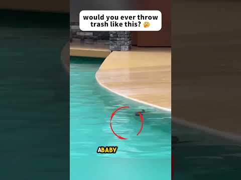 The most TALENTED sea lion in the WORLD 👏🌍