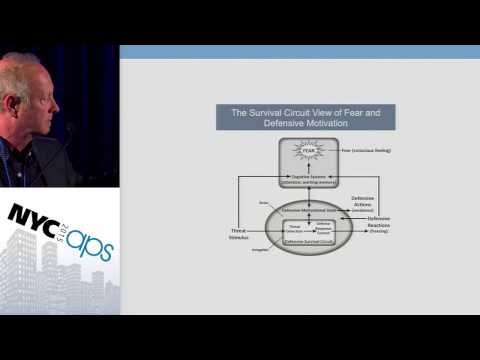 APS Award Address: Coming to Terms with Fear and Anxiety