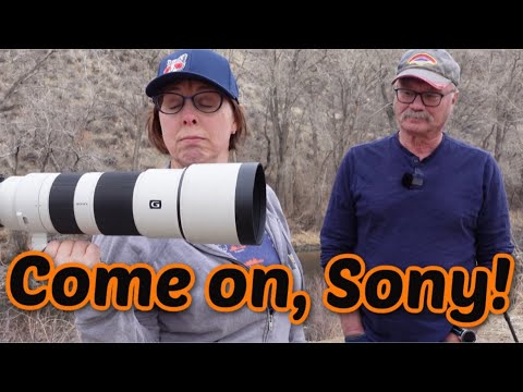 8 Things we HATE Sony 200-600mm lens