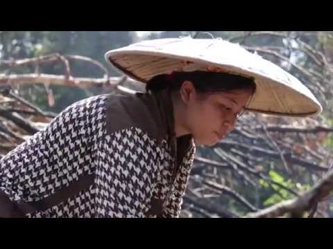 The Village Forest Permit - Challenges and conditions for social forestry in Indonesia