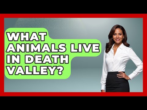 What Animals Live In Death Valley? - United States Revealed
