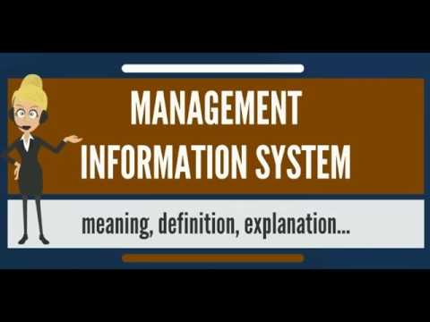 What is MANAGEMENT INFORMATION SYSTEM What does MANAGEMENT INFORMATION SYSTEM mean