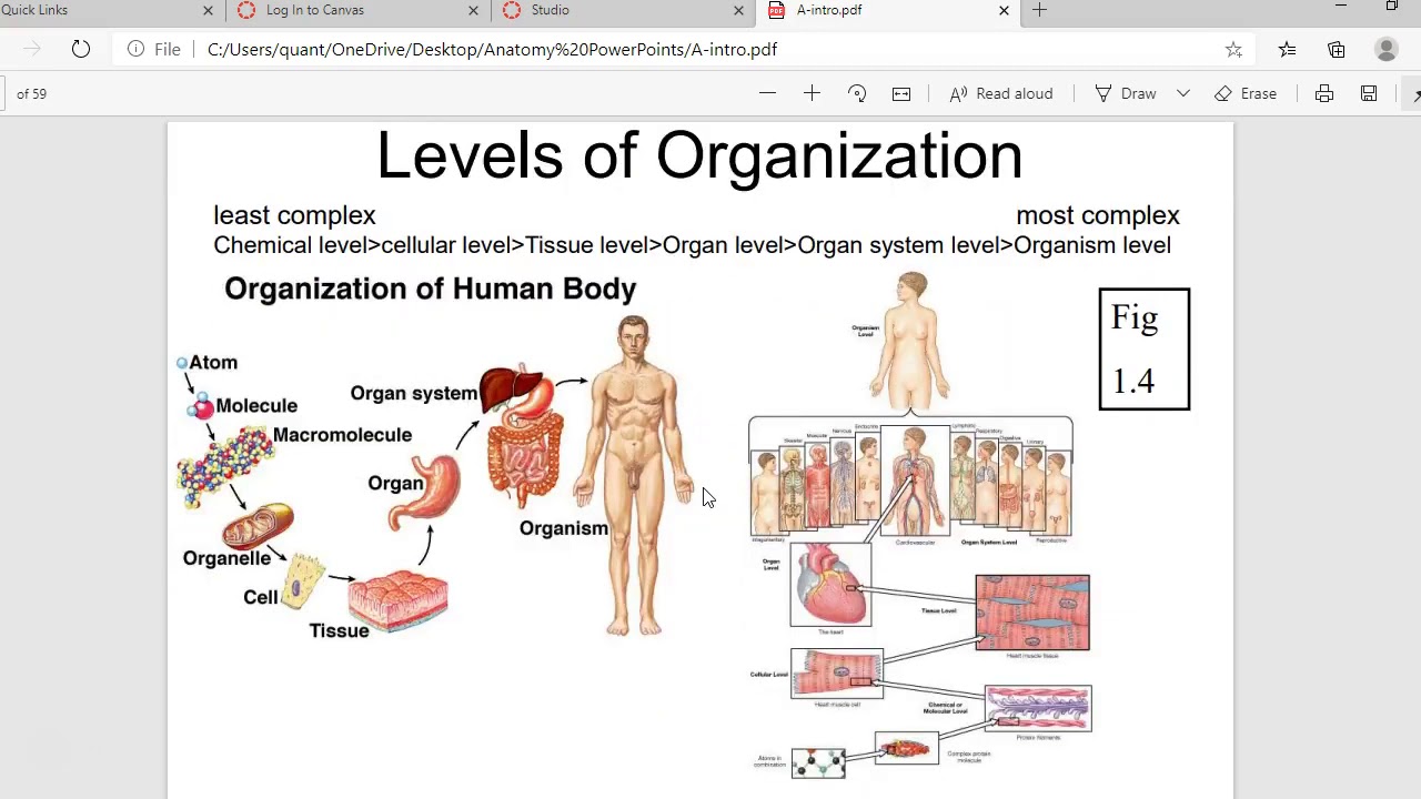 Intro Lecture 1 PowerPoint A