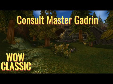 WoW Classic/Consult Master Gadrin