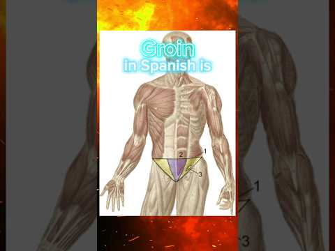 GROIN IN SPANISH | Medical Consecutive Interpreting