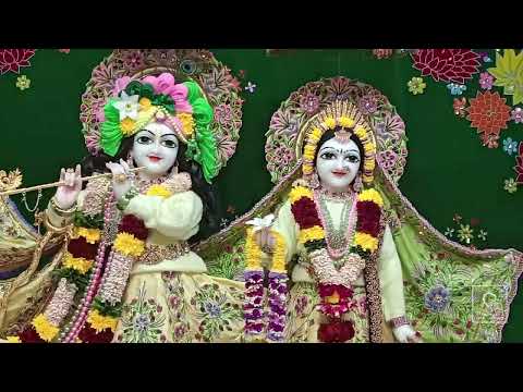 Divine Darshan of Sri Sri Radha Vrindavan-chandra on14th December 2023