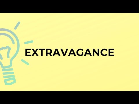 What is the meaning of the word EXTRAVAGANCE?