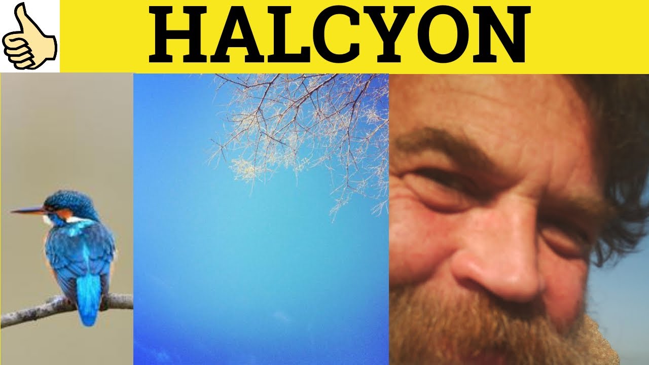 🔵 Halcyon Meaning - Halcyon Days Defined - Halcyon Examples - Halcyon Definition - Formal English