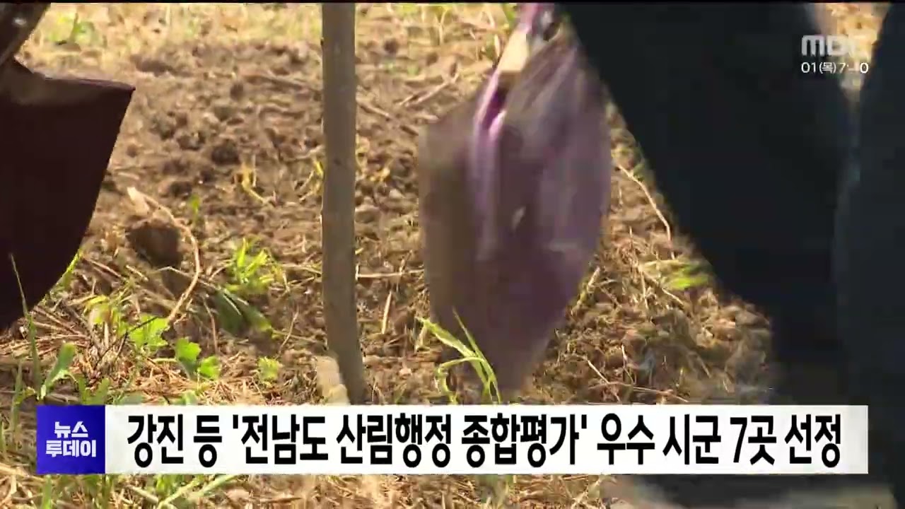 강진 등 '전남도 산림행정 종합평가' 우수 시군 7곳 선정