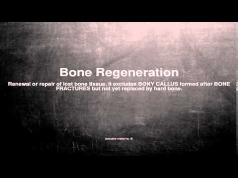 Medical vocabulary: What does Bone Regeneration mean