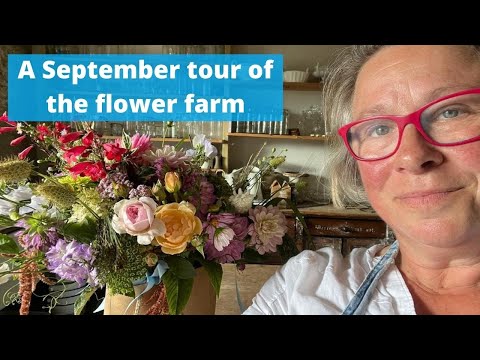 September tour of the flower farm