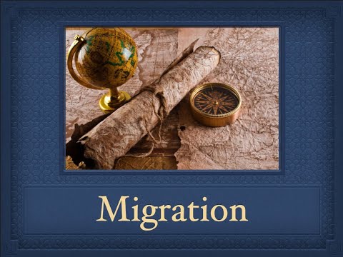 Migration