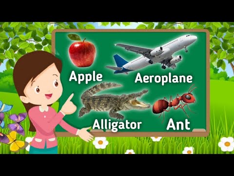 Five words that start with A | Apple | Ant | alligator | Axe | Aeroplane