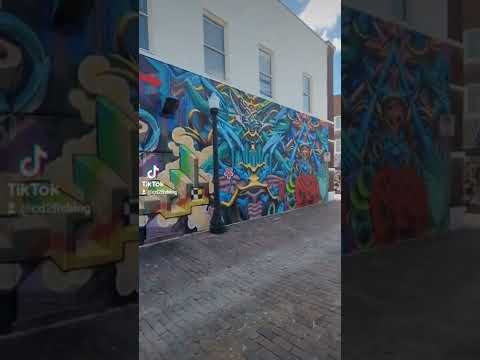 AMAZING Artwork in Downtown Lakeland, FL!!!!