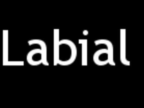 How to Pronounce Labial