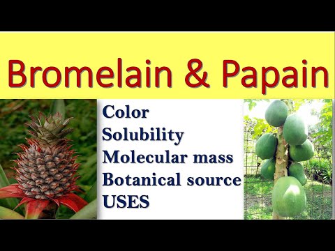 what is Bromelain? what is Papain (PhytoEnzymes)
