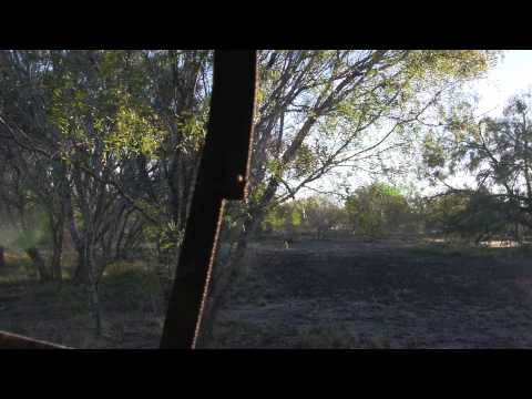 2014 Las Matasones XVII SABO Sight and Gist Kinsman Ranch Whitetail Buck Archery Hunt 1080p High R