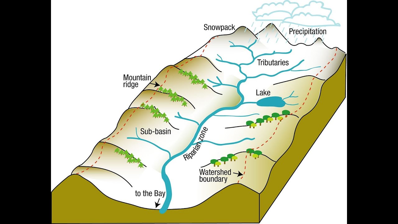 Understanding Watershed Segmentation in Computer Vision | Galaxy.ai