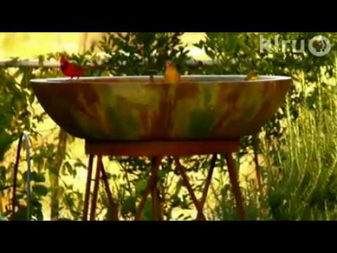 Zac Zamora: Central Texas Gardener