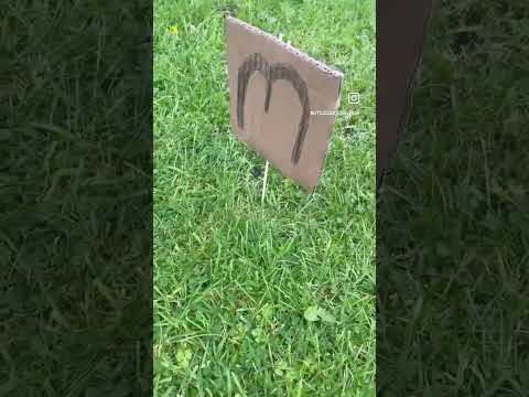 Make a DIY mini arena with us! Intro to dressage!