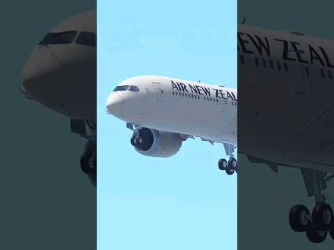 Boeing 787-9 Air New Zealand Landing at Auckland Airport #shorts #infiniteflight #viral