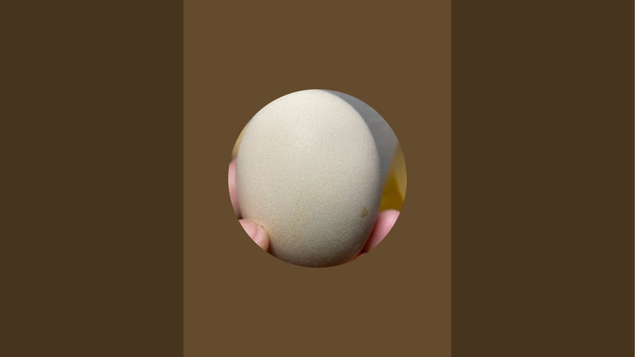 RAW EGG PEELING LIVE