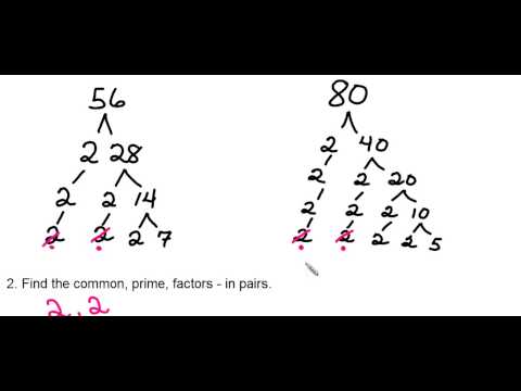 GCF of 56 and 80