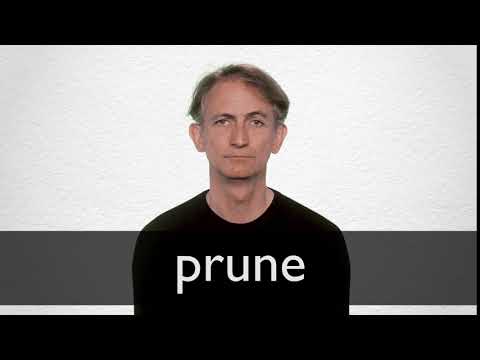 How to pronounce PRUNE in British English