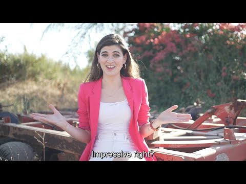 Crazy Agricultural Tech Innovations in Israel