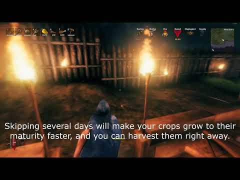 Steam Community :: Video :: Harvest Your Crops Faster In Valheim