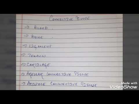 Connective tissue Class 9