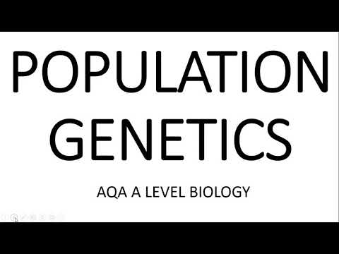 POPULATION GENETICS - AQA A LEVEL BIOLOGY + EXAM QUESTIONS RUN THROUGH