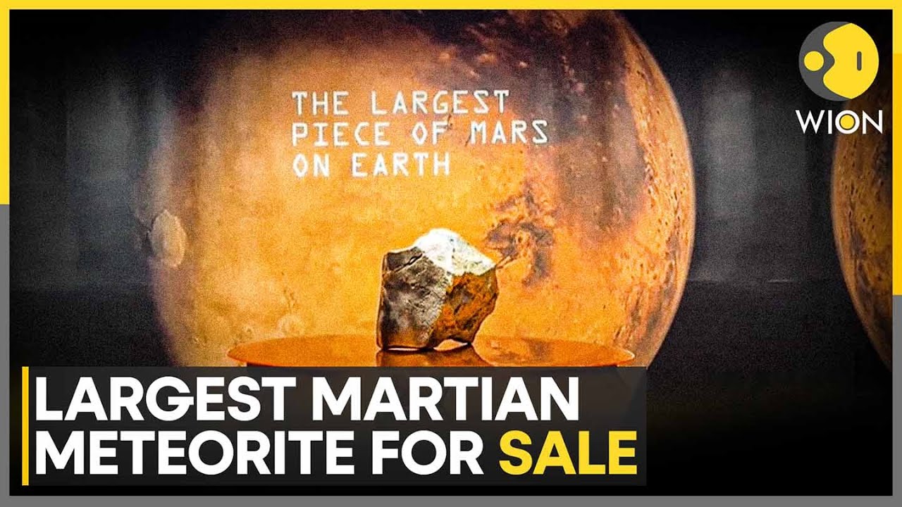 Mars Meteorite Auction: A Consumer's Guide... | Gaya One