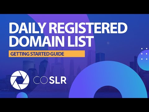 Daily Registered Domain List Provided By COSLR