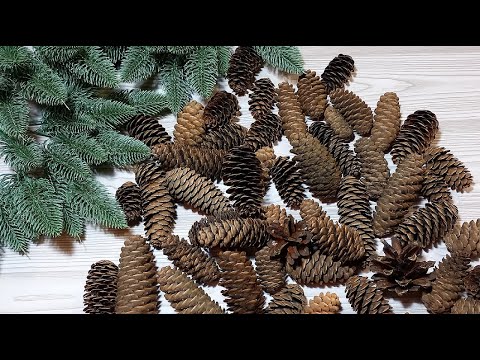 I took fir cones and artificial pine branches, look what a beauty it turned out.