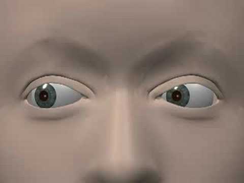 Actions of the ocular muscles