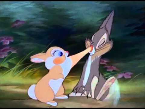 Thumper in love
