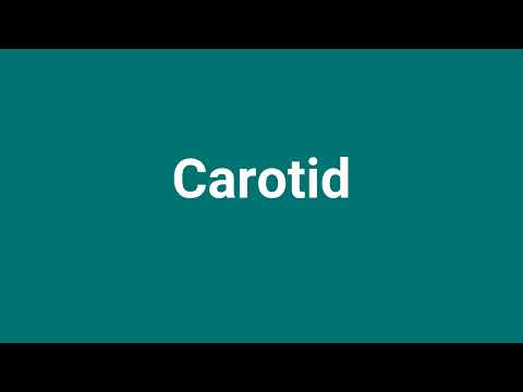 'Carotid' Meaning and Pronunciation